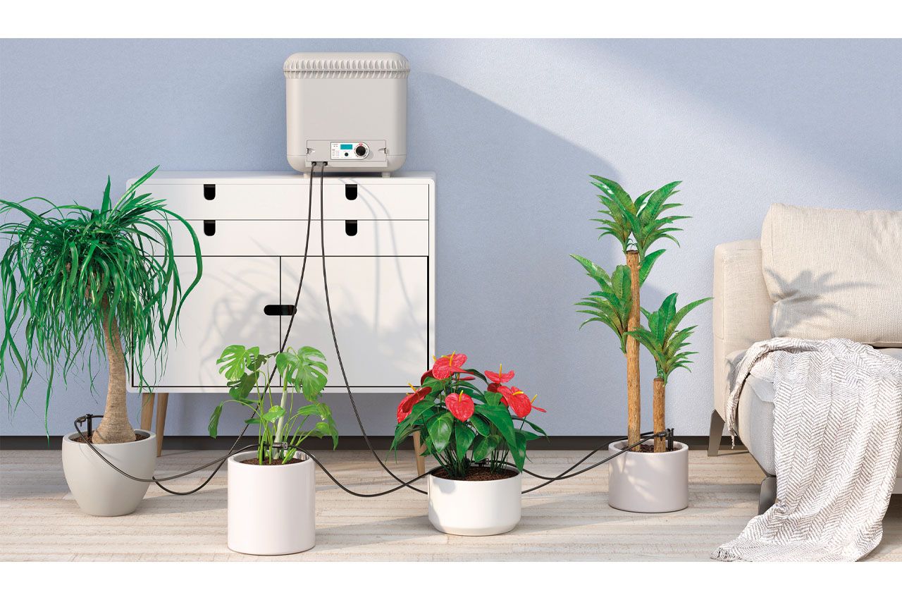 Automatischer Wasserverteiler OASIS EVOLUTION